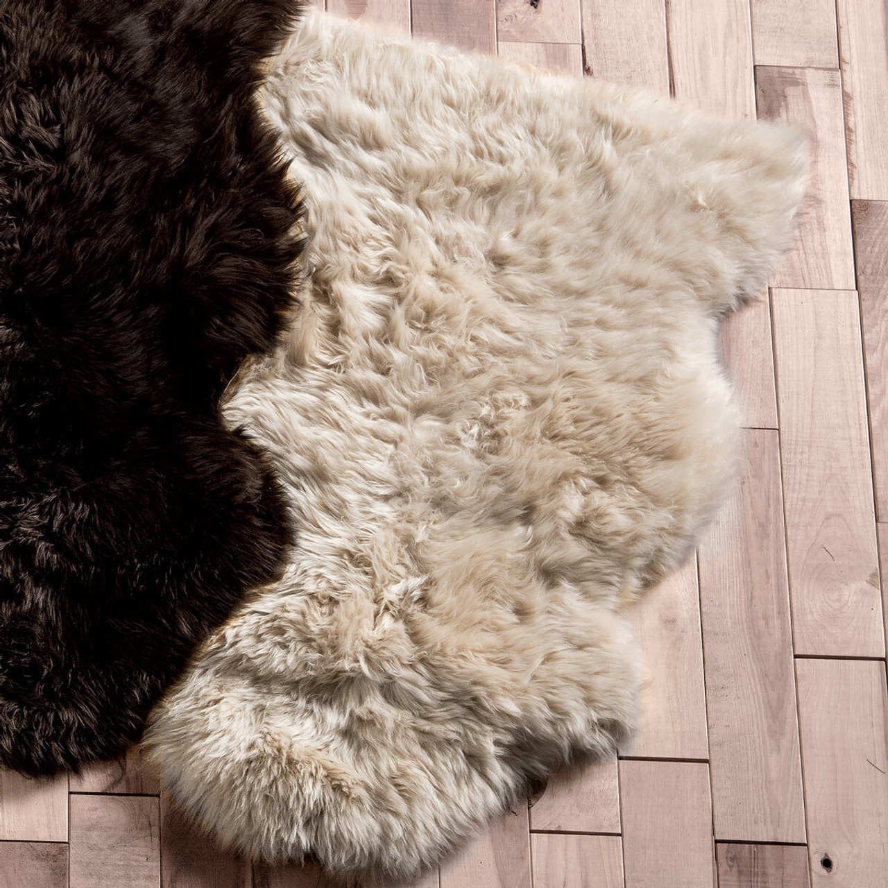 Wildlife Rugs: Champagne Small Sheepskin Rug | Black Forest Decor