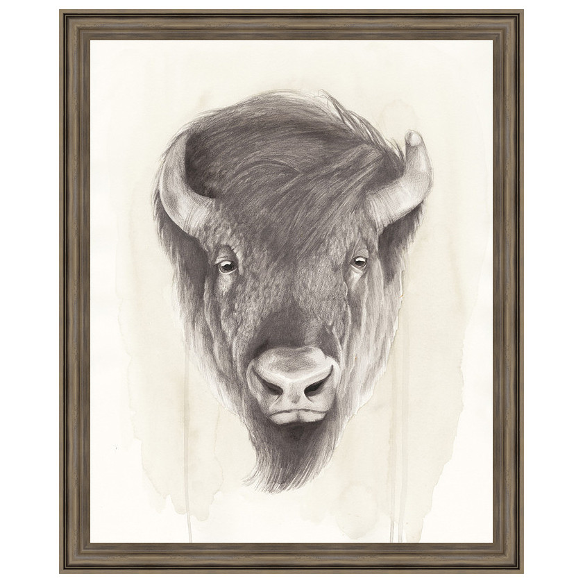 American Wilderness II Framed Print | Black Forest Decor