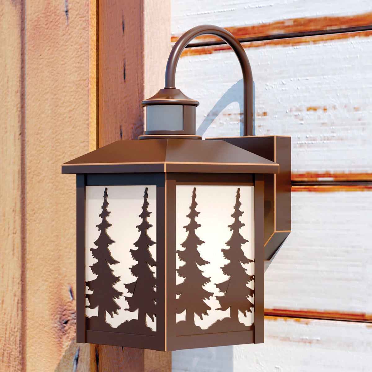 rustic outdoor light with sensor