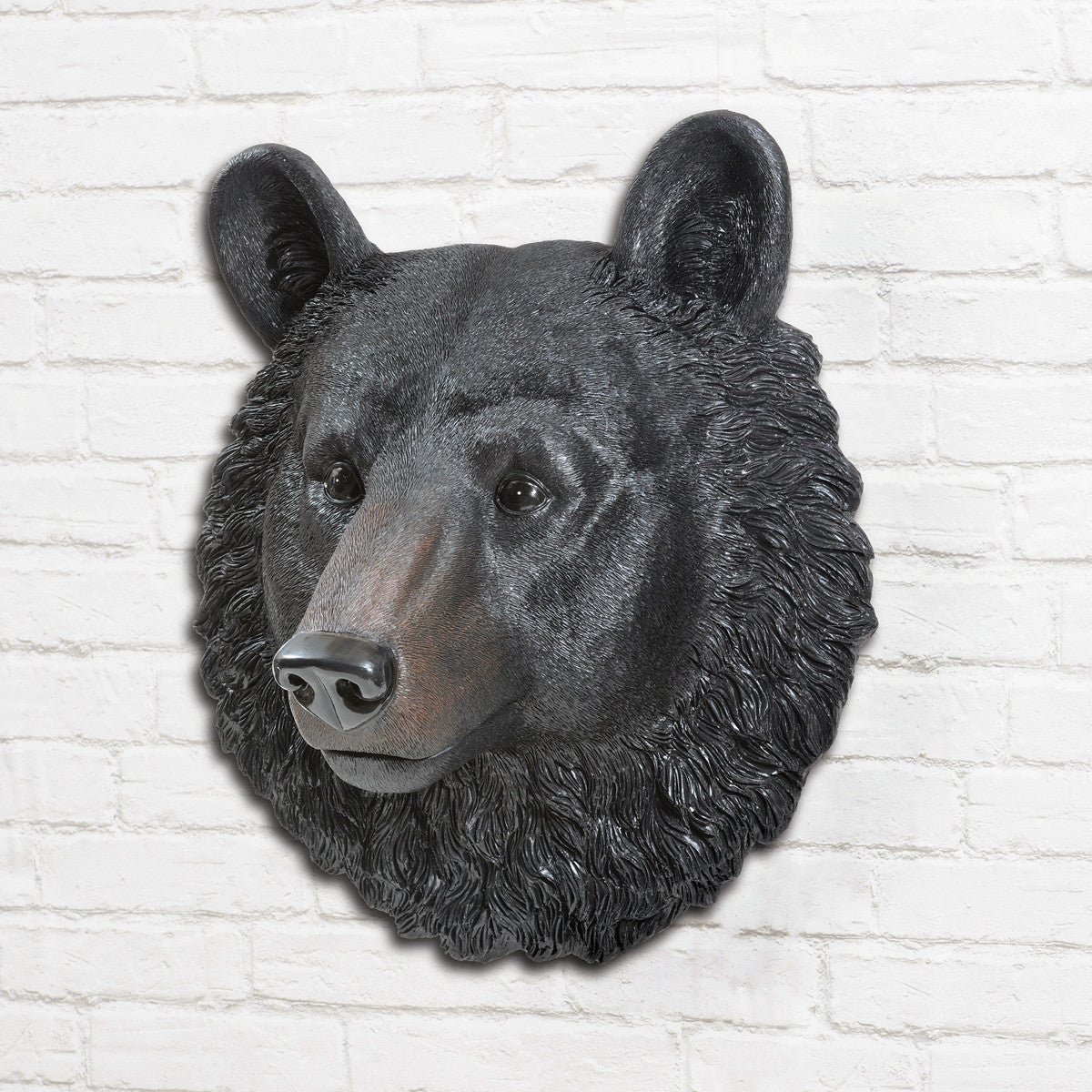 black bear head mount