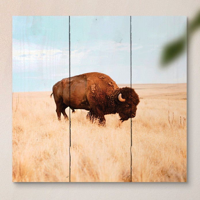 Golden Plains Buffalo Pallet Wall Hanging | Black Forest Decor