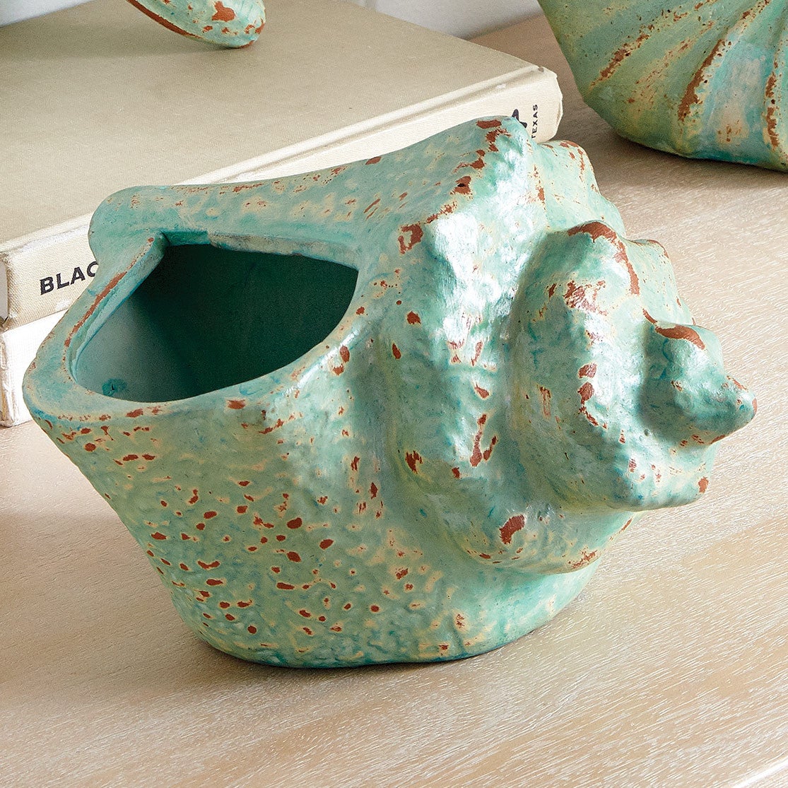 Clay Pottery Conch Shell Planter / Sculpture - CLEARANCE | Black Forest ...