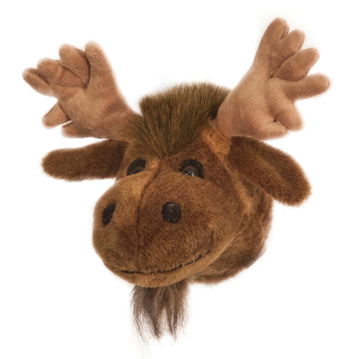 moose's head