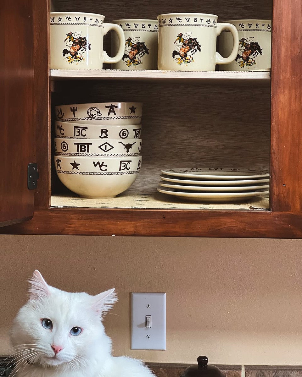 Branded Dinnerware Set (16 pcs) | Black Forest Decor