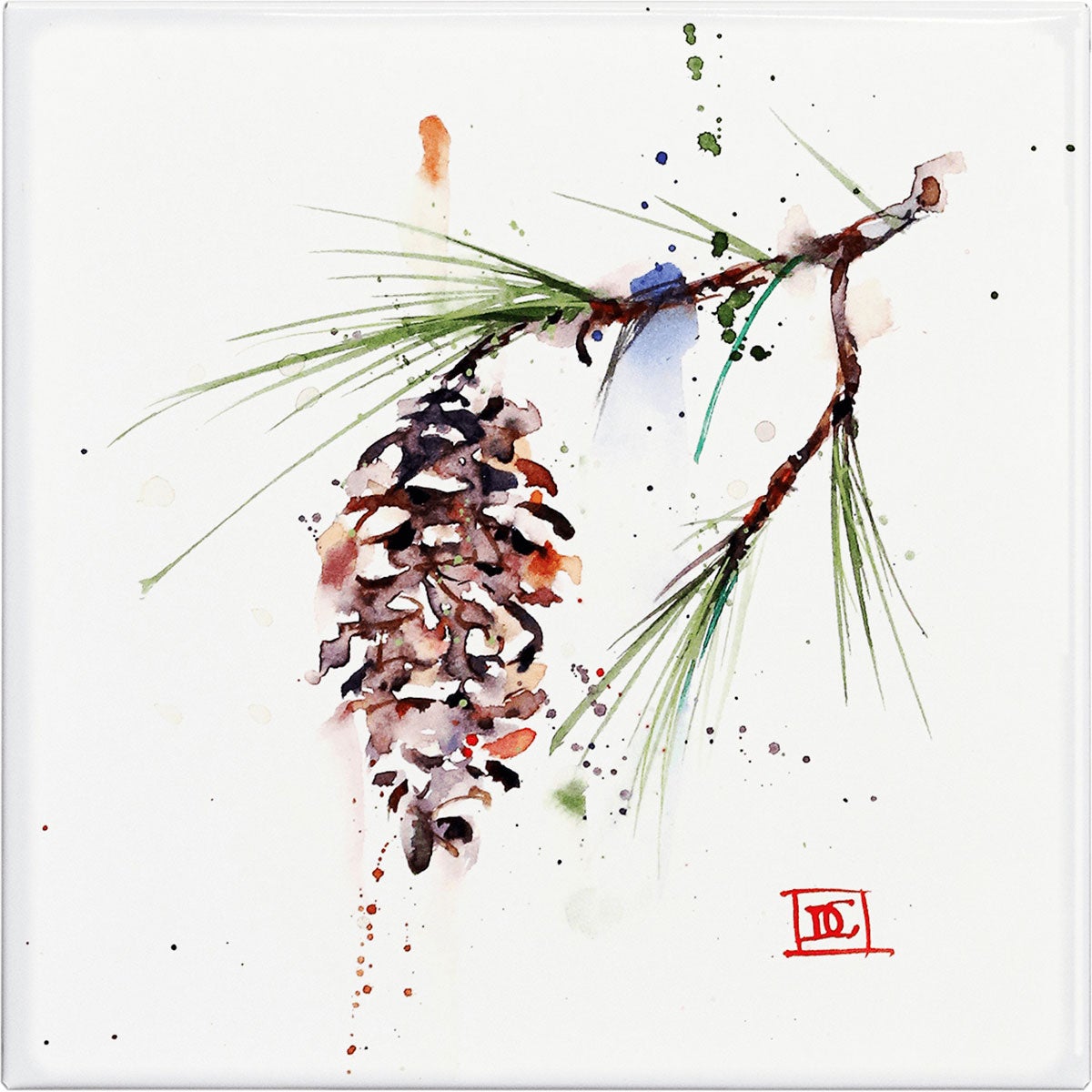 white pine cone drawing