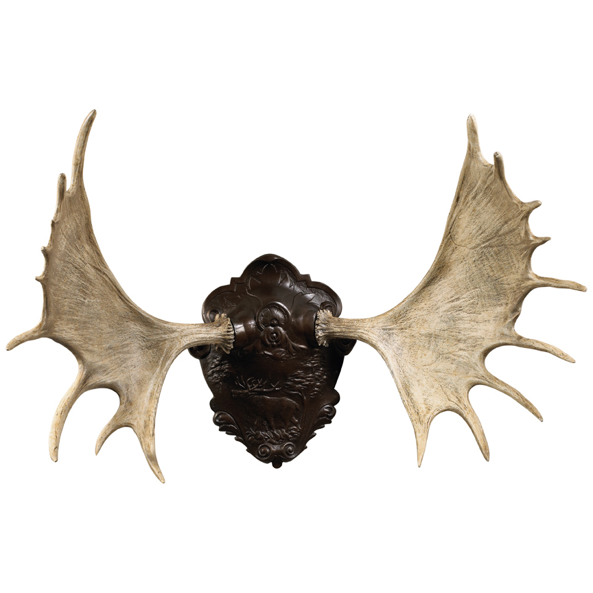 moose antler mount