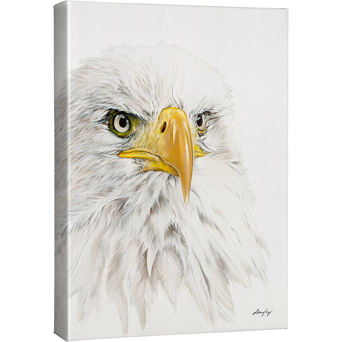 eagle face drawing front